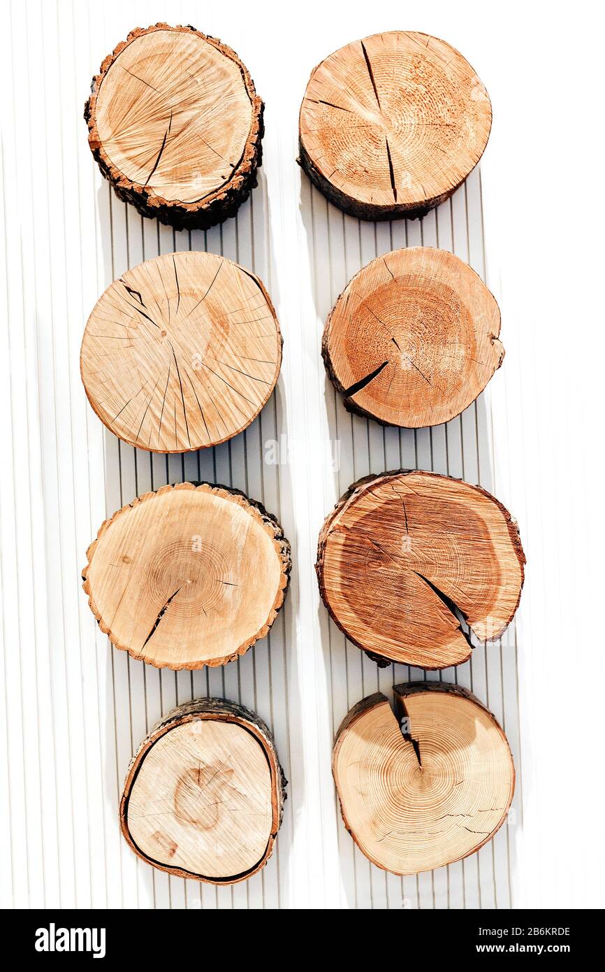 Set of many Wooden stumps on the white background Stock Photo - Alamy