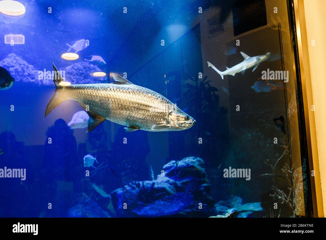 Lagoon mall hi-res stock photography and images - Alamy