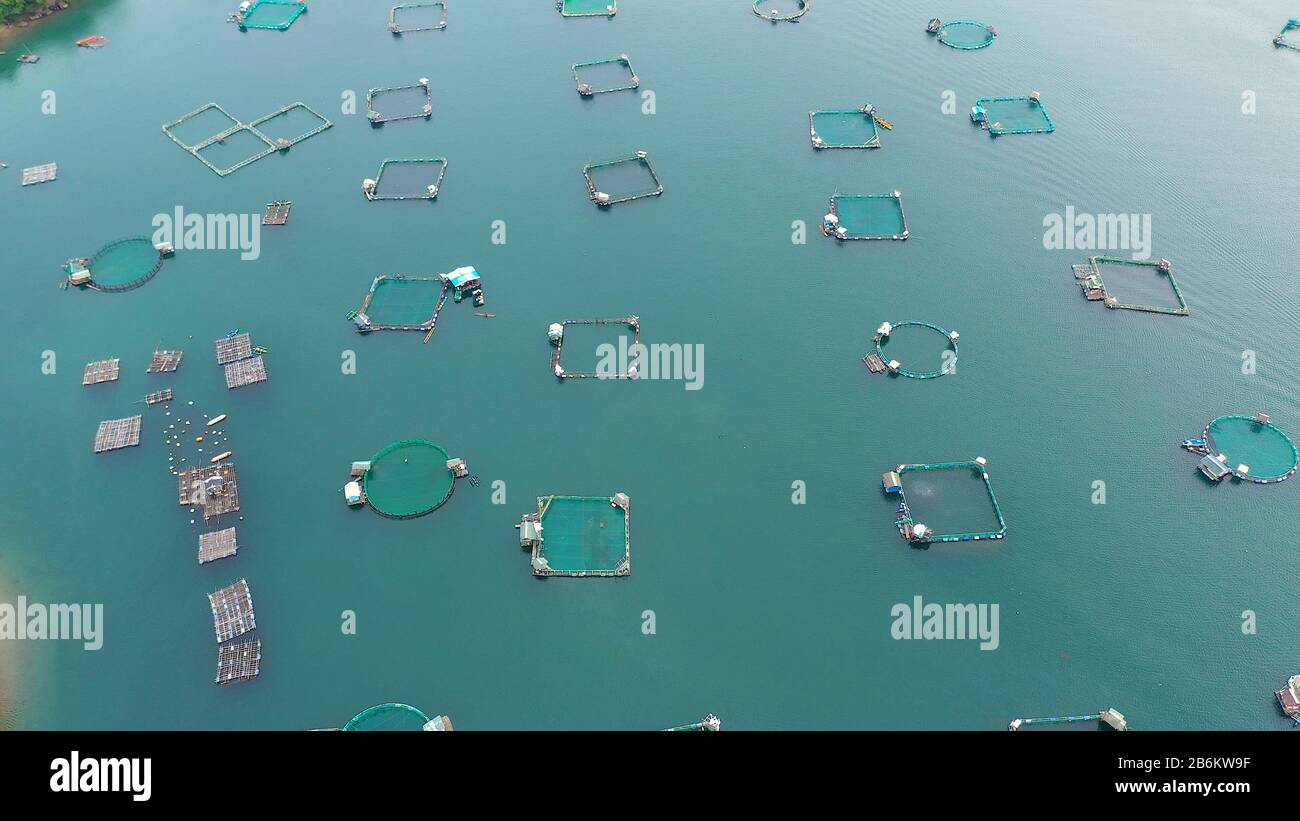 Aerial view of fish ponds for bangus, milkfish. Fish farm, top view ...