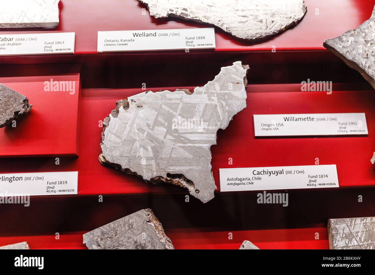 24 MARCH 2017, MUSEUM OF NATURAL HISTORY, VIENNA, AUSTRIA: Exhibition ...