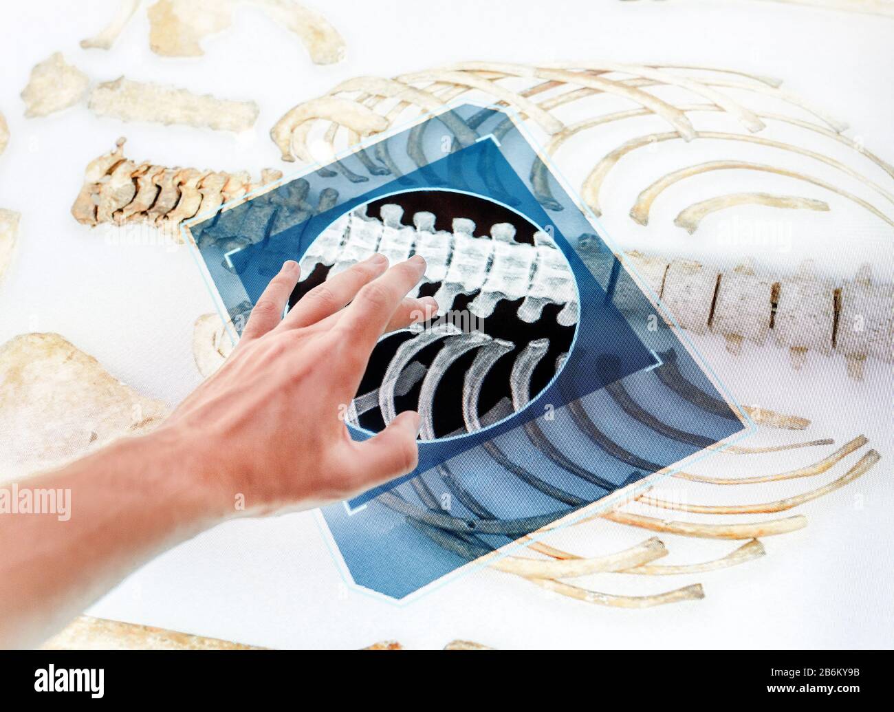 Medical technologies of the future - the operator analyzes computer ...