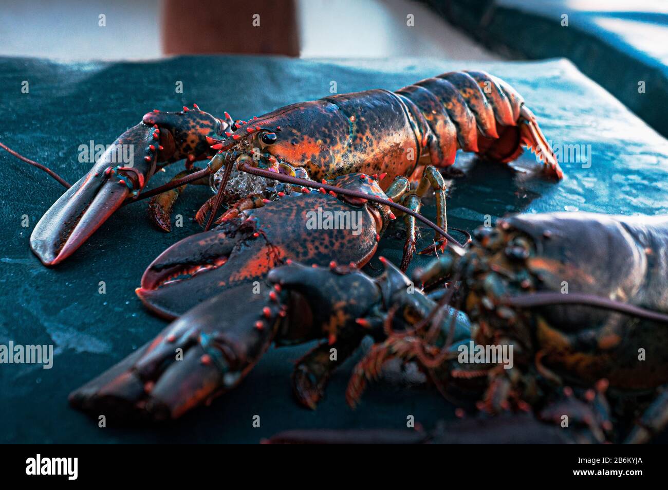 Gloucester fishing boat hi-res stock photography and images - Alamy