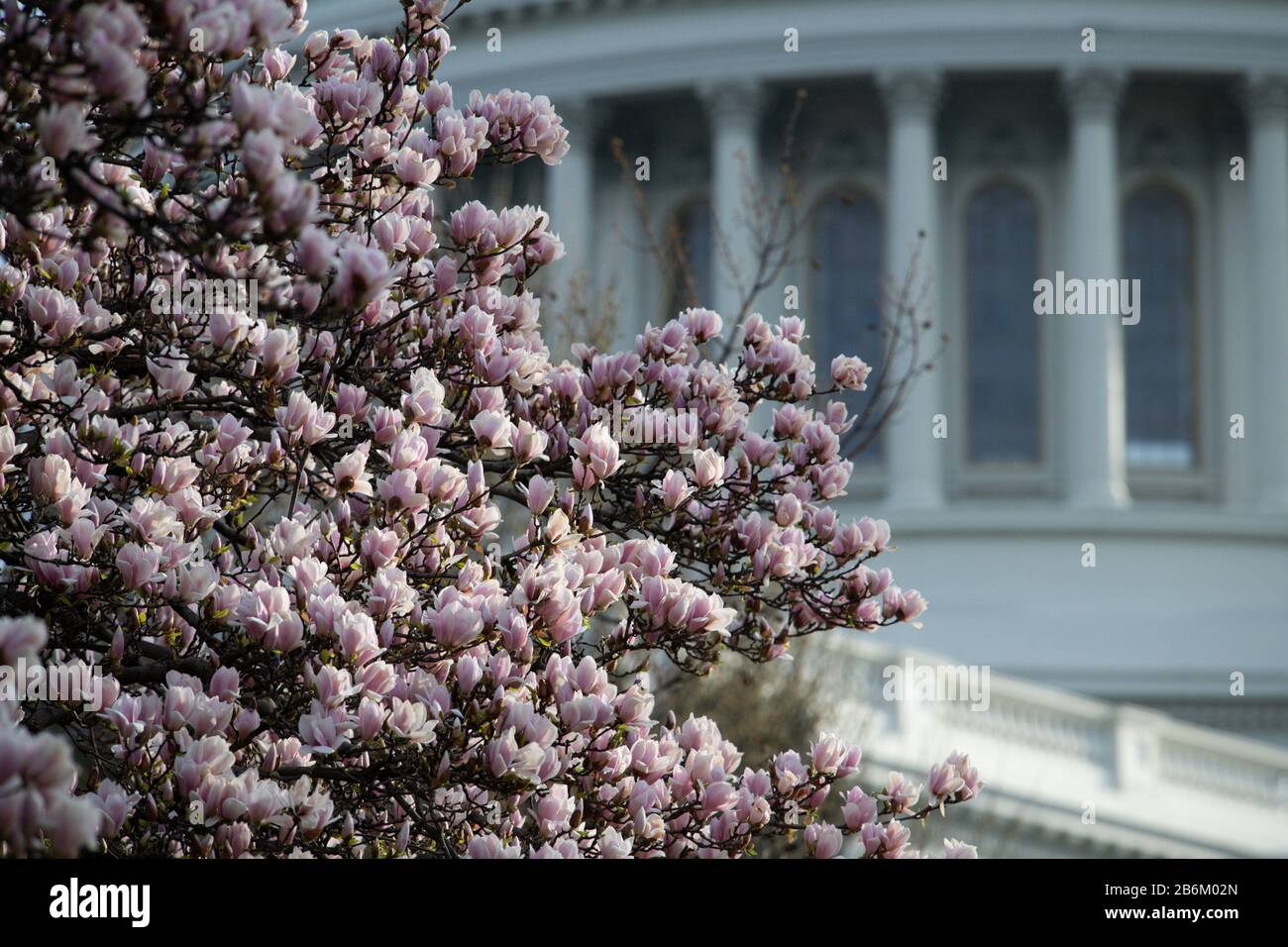 A general view of the U.S. Capitol Building in Washington, D.C., as ...