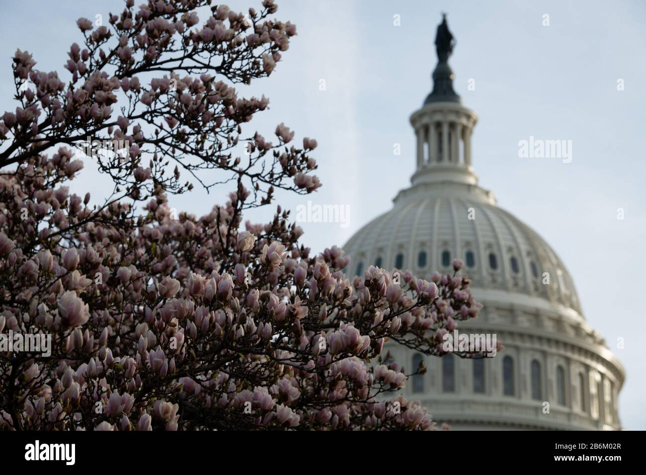 A general view of the U.S. Capitol Building in Washington, D.C., as ...