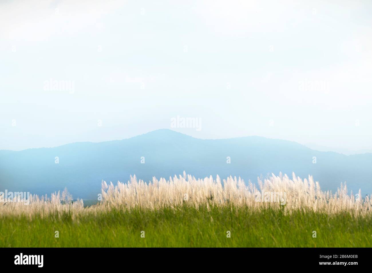 Calming background hi-res stock photography and images - Alamy