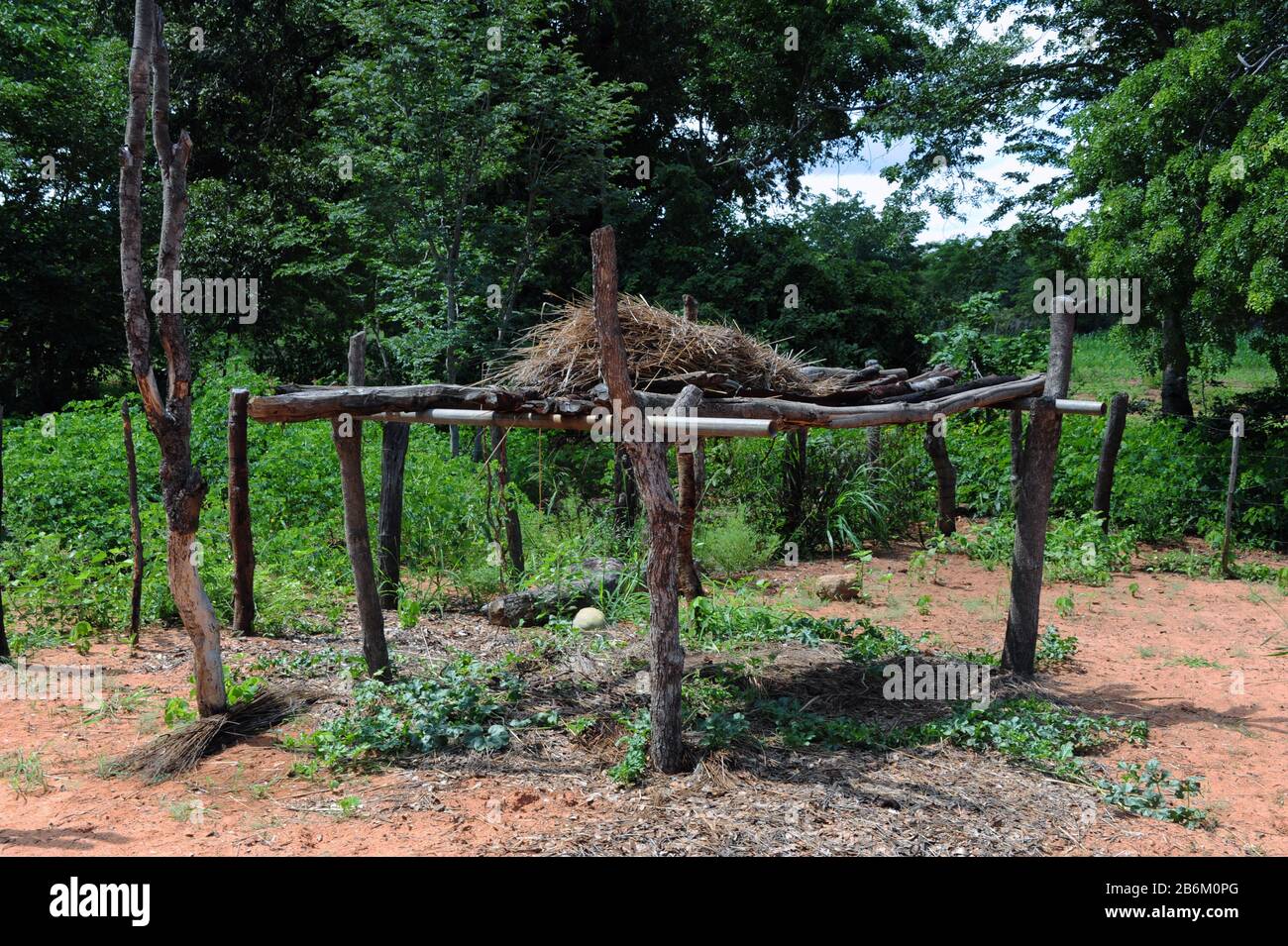 Everyday life in a village belonging to the Matabele ethnic group ...