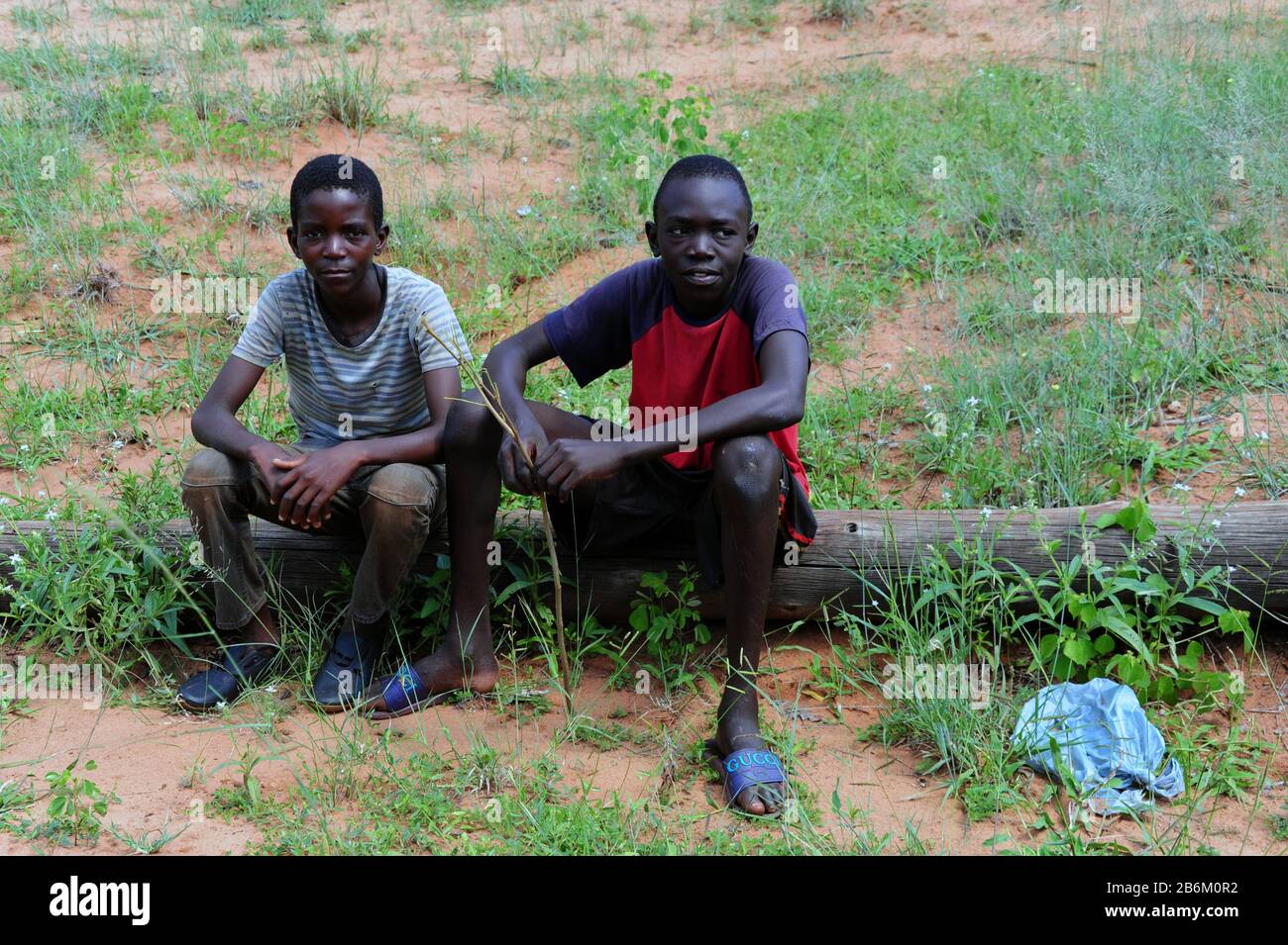 Everyday life in a village belonging to the Matabele ethnic group ...