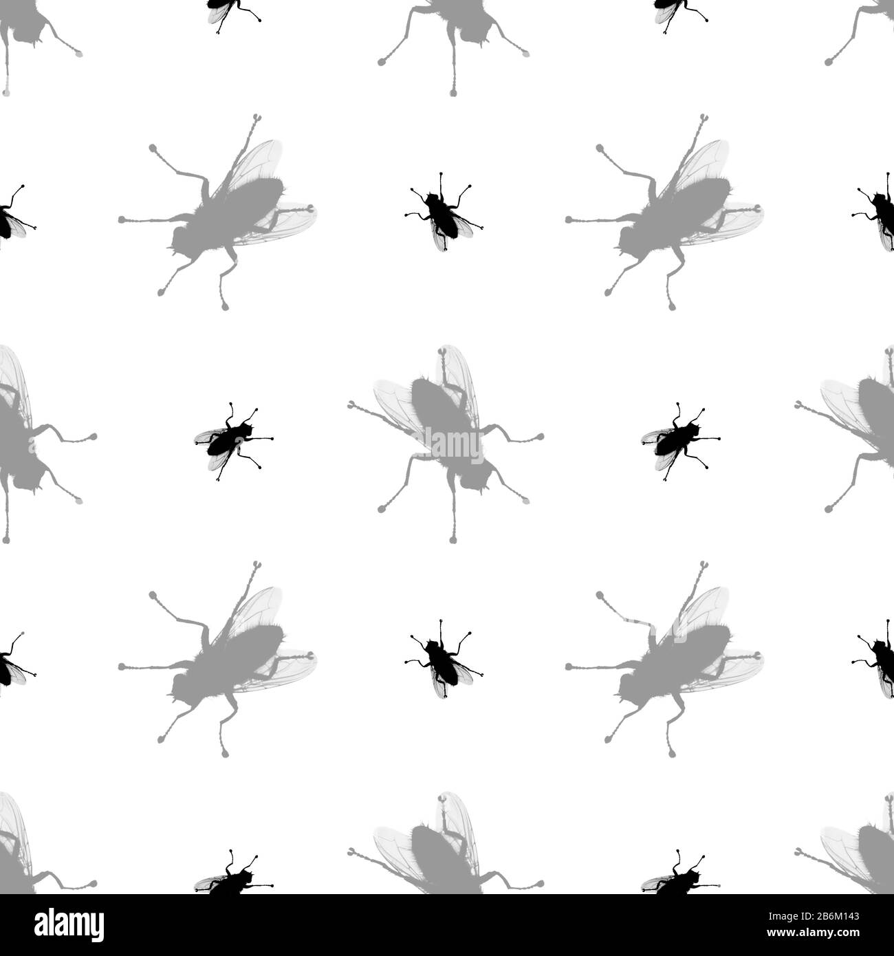 Bug silhouette Black and White Stock Photos & Images - Alamy