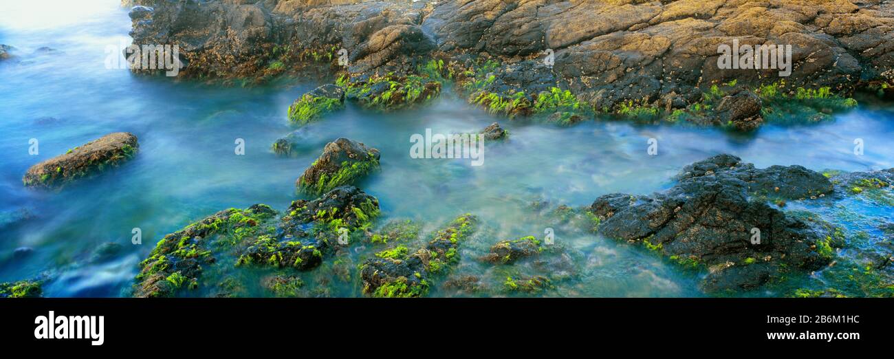 Rock formations in the sea, Bird Rock, La Jolla, San Diego, California ...