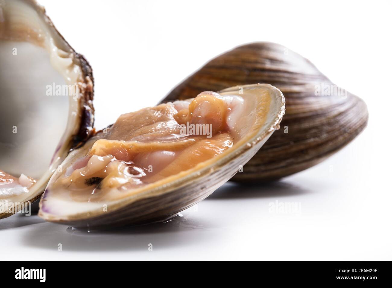 Venus Marine High Resolution Stock Photography and Images - Alamy