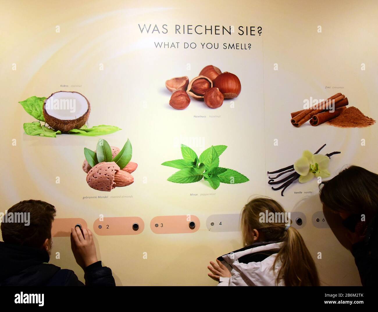 19 February 2020, Saxony-Anhalt, Halle (Saale): In the chocolate museum ...