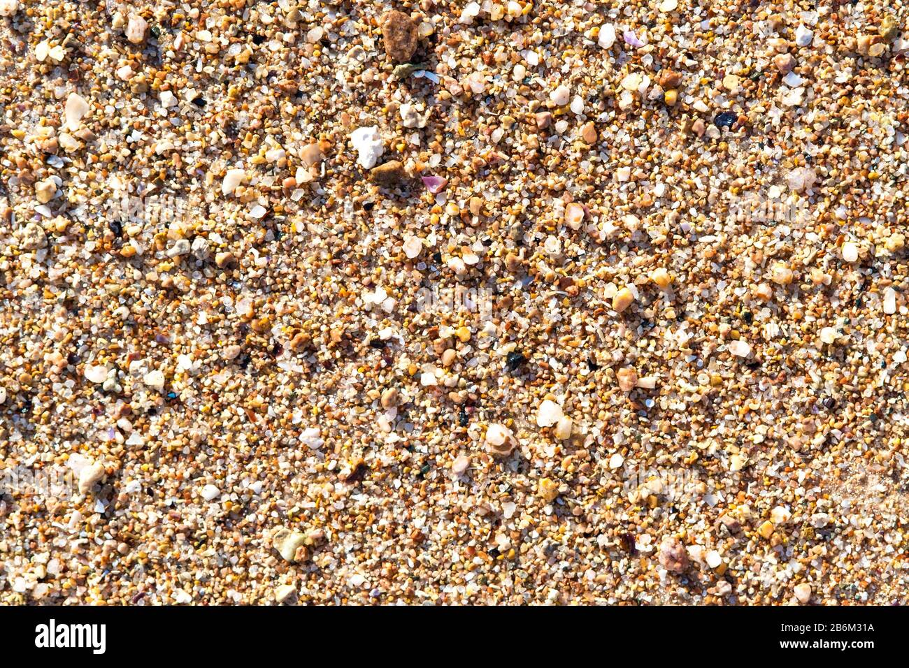 Flat lay surface of sandy beach with yellow sand and small stones ...