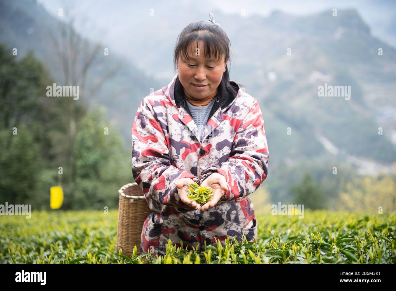Xuejia hi-res stock photography and images - Alamy
