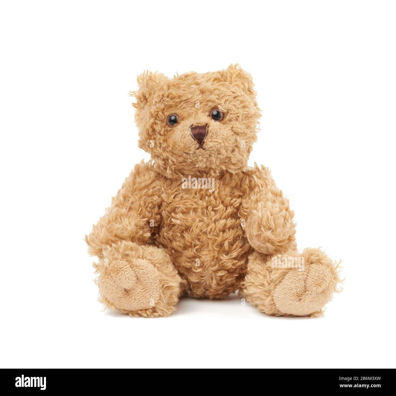 cute little brown teddy bear, toy is sitting on a white background ...