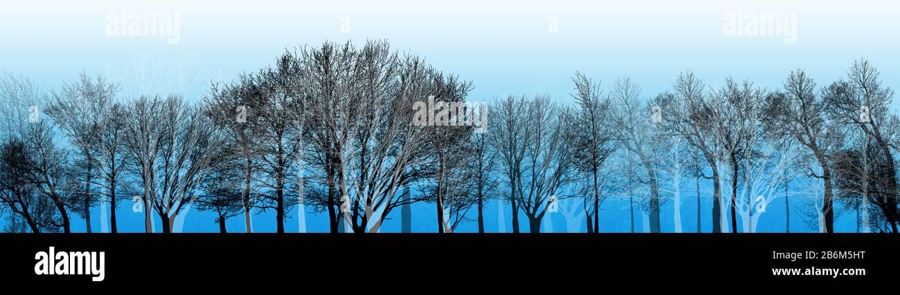 Forest multicolor background with trees Stock Photo - Alamy