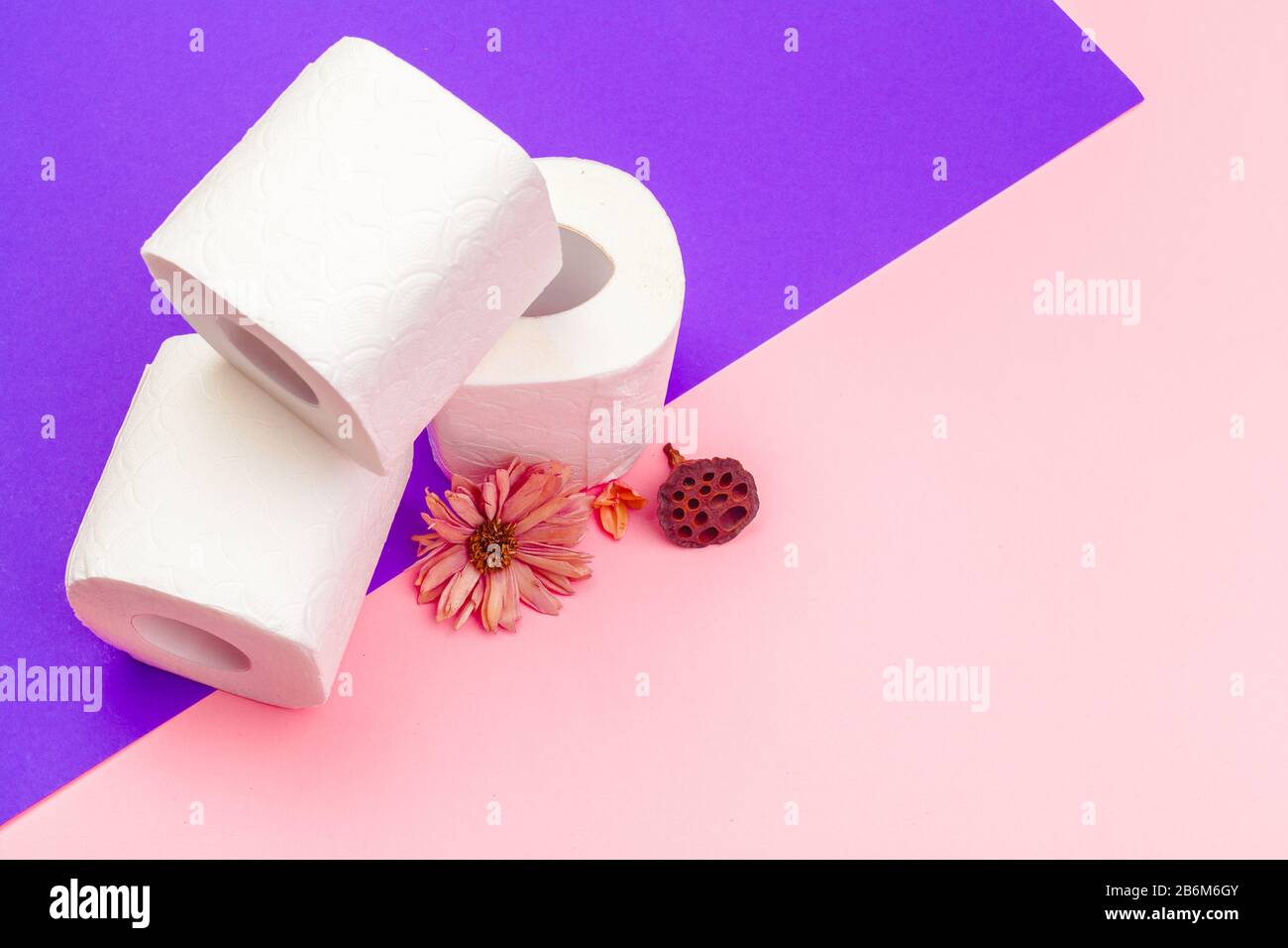 Colorful toilet rolls hi-res stock photography and images - Alamy