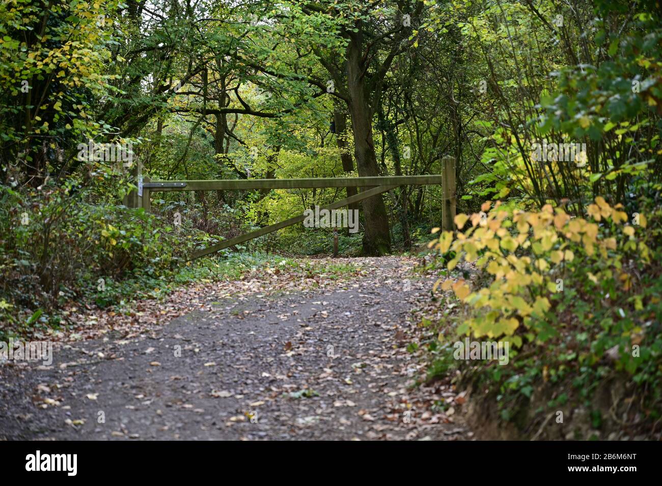 Health benefits of the outdoors hi-res stock photography and images - Alamy