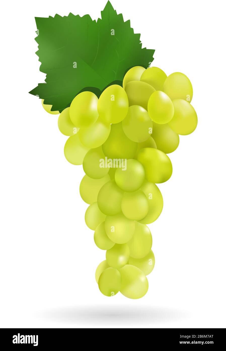Grapes fruit Stock Vector Images - Alamy
