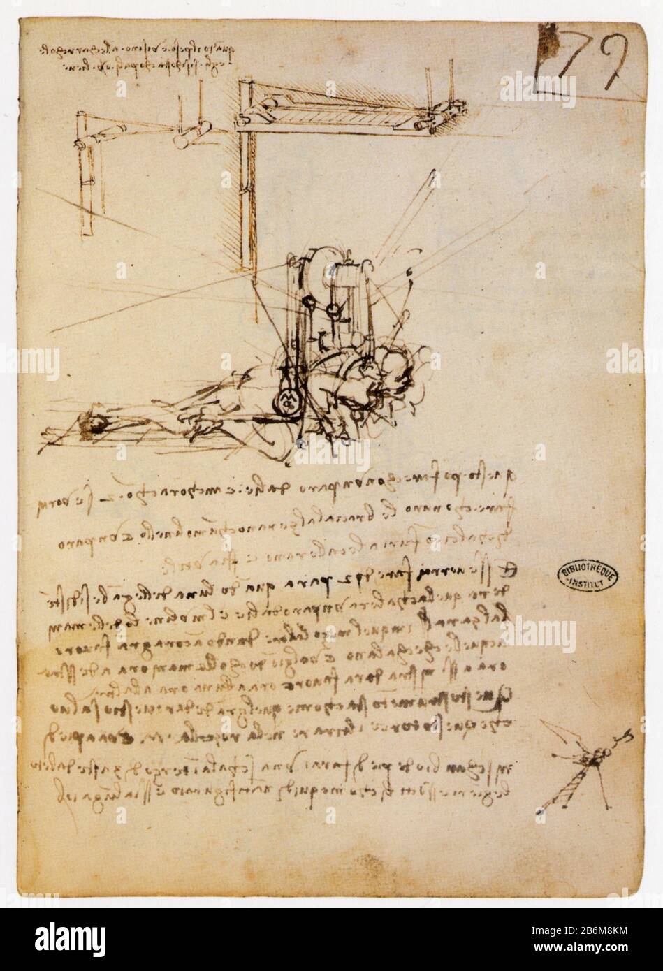 Ornithopter leonardo da vinci hi-res stock photography and images - Alamy