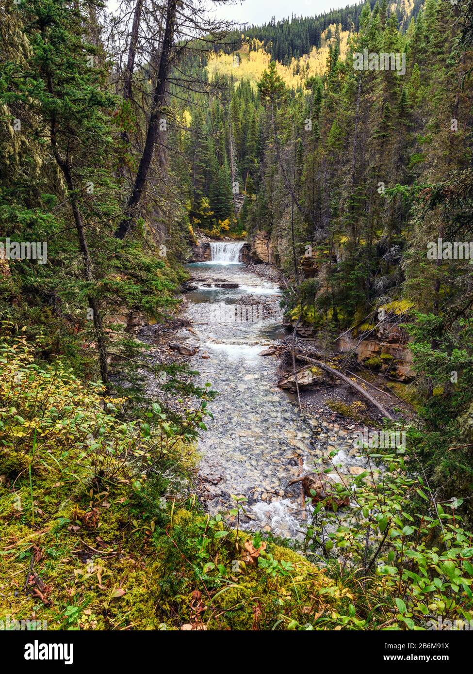 Stream flowing in bow valley on national park at Johnston canyon ...