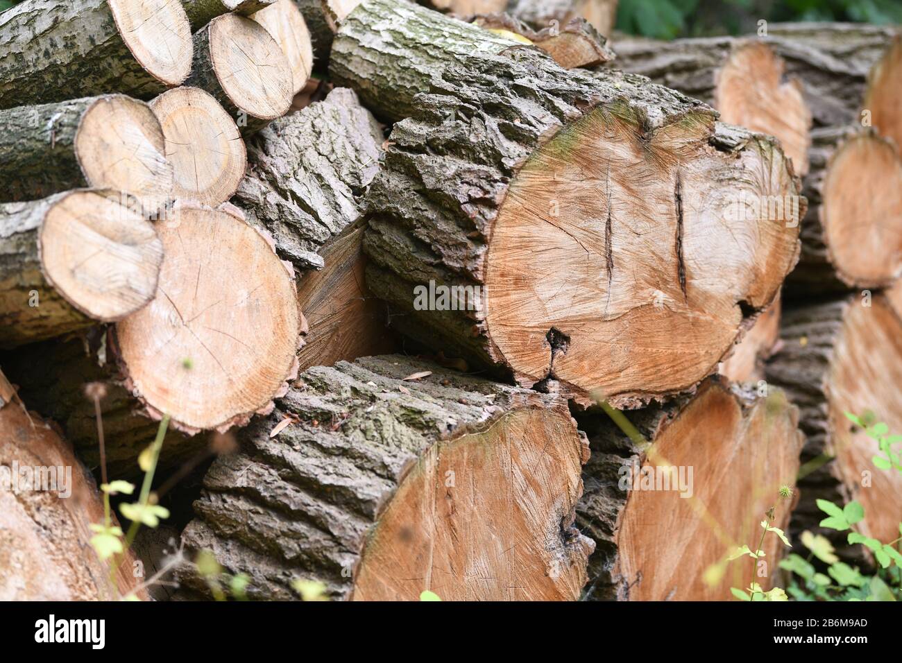 Different sized logs hi-res stock photography and images - Alamy