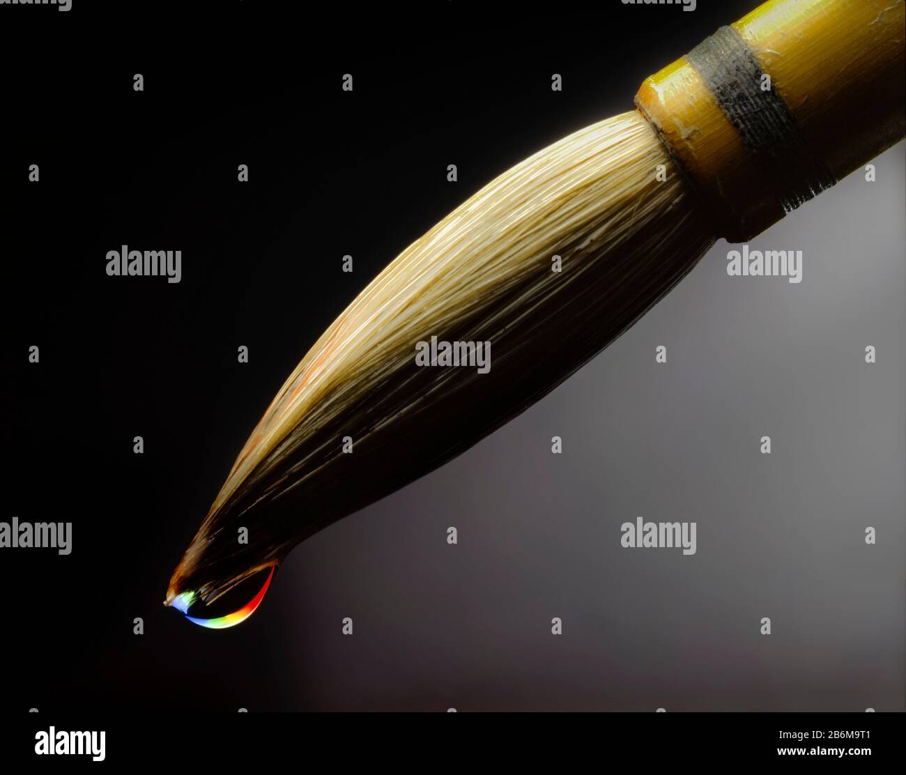 A water drop illuminated in rainbow colors on the tip of a Chinese ...