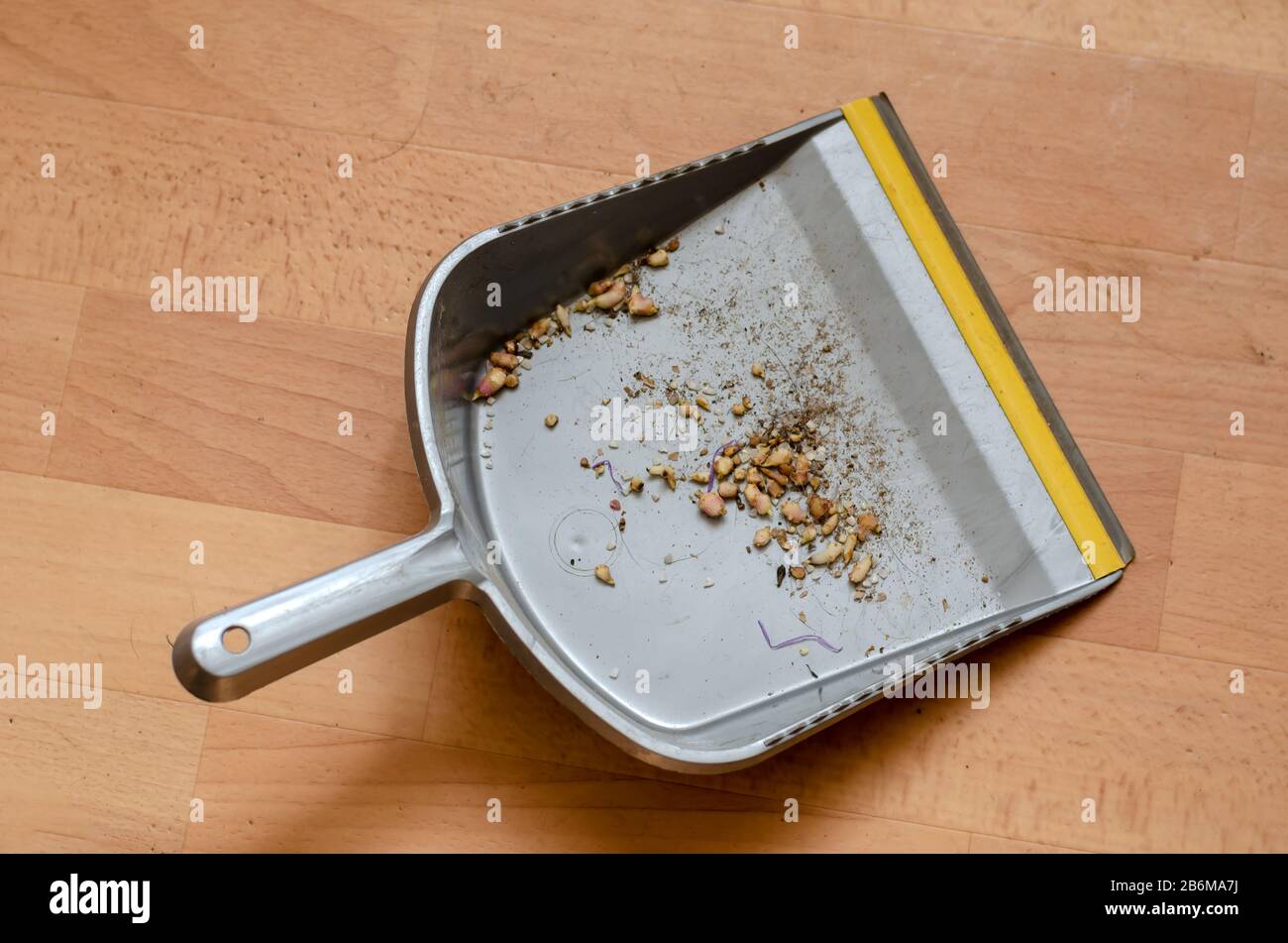 Gray Scoop with garbage. Plastic dustpan with domestic waste. View from ...