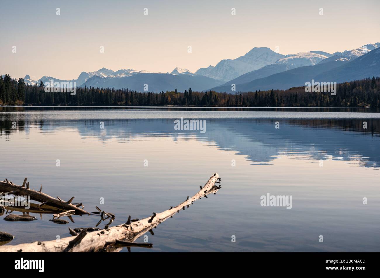Log pyramid hi-res stock photography and images - Alamy