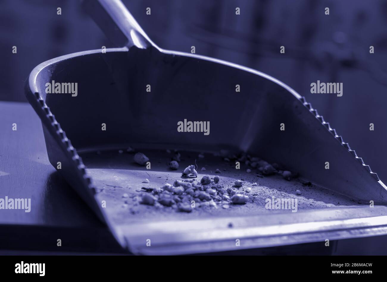 Gray scoop with garbage close up. Used dustpan with domestic waste ...