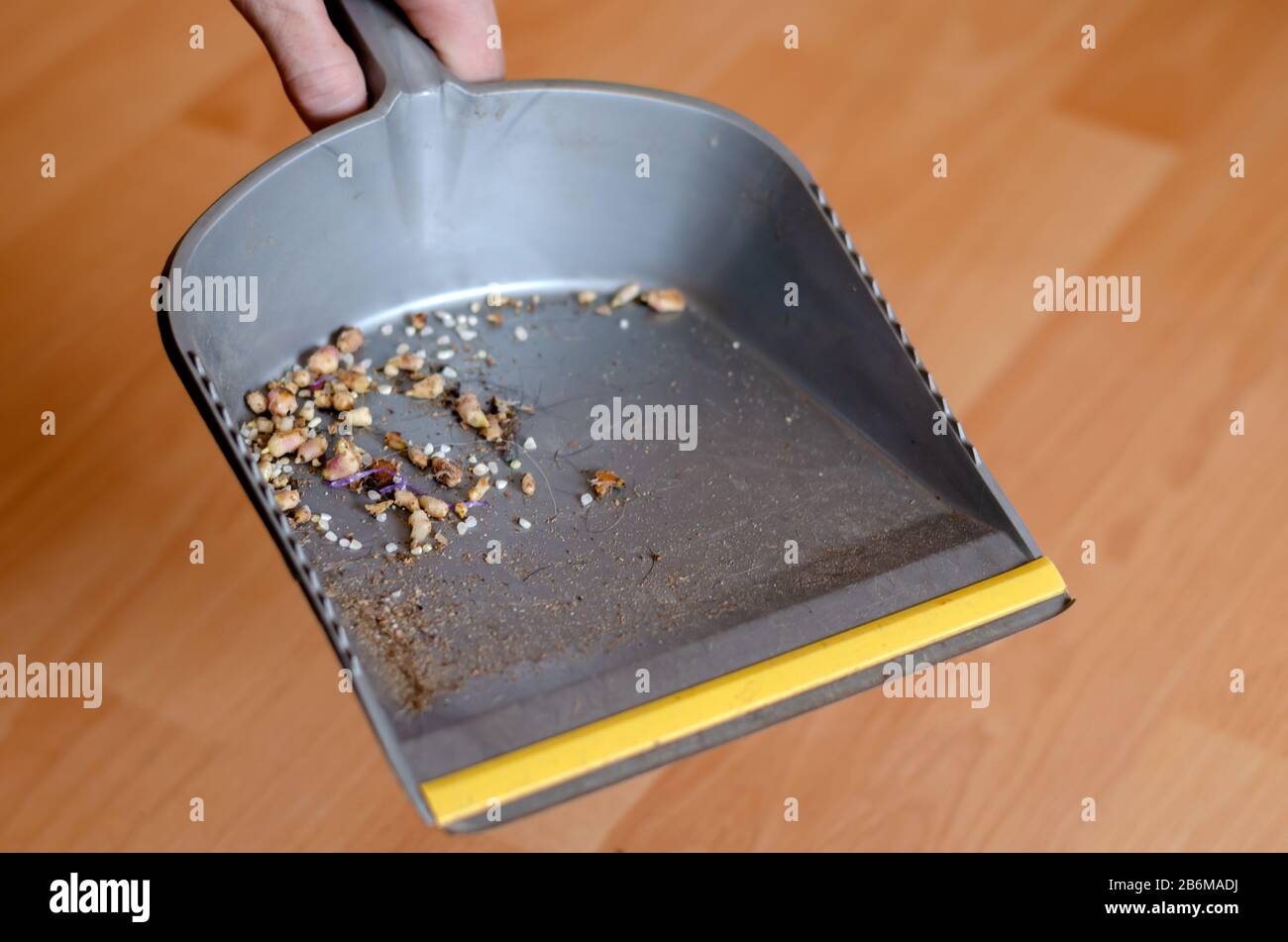 The left hand of an adult male with a dustpan. Hand holds gray dustpan ...