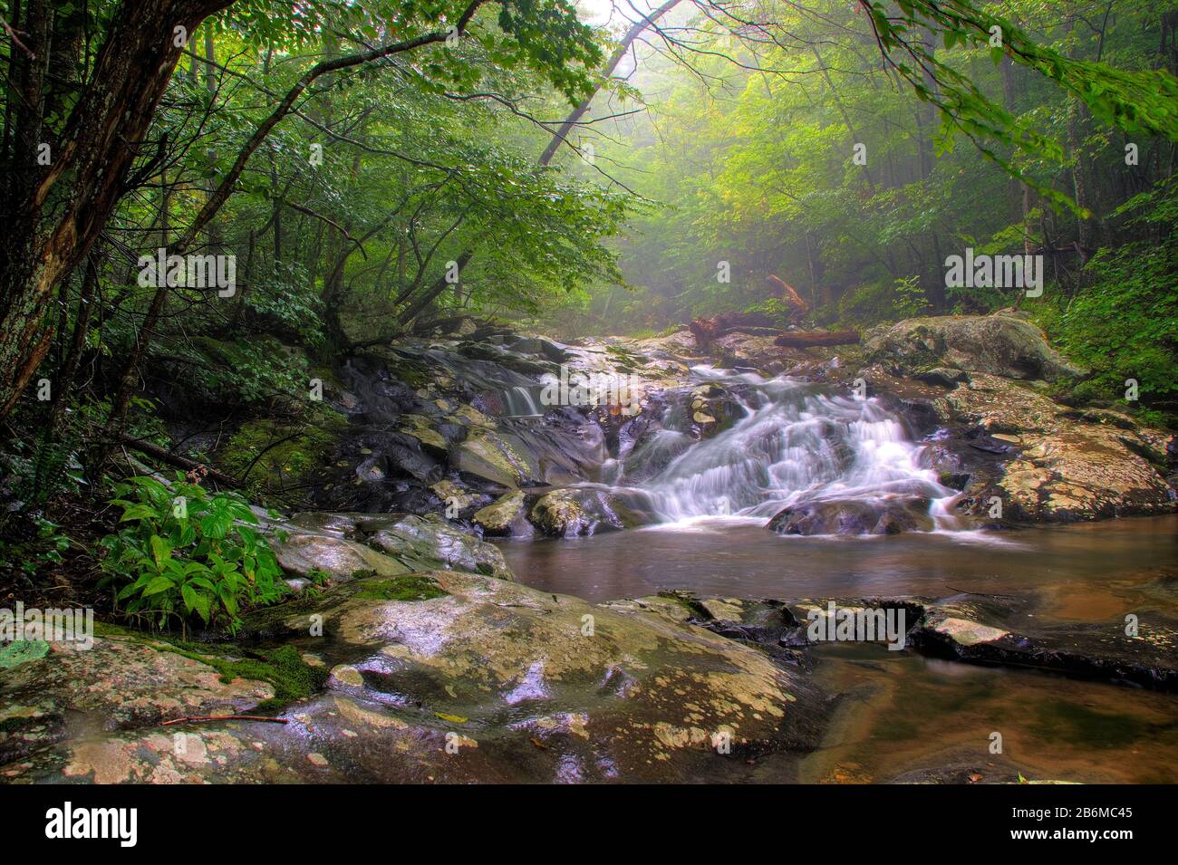 Waterfall moss shenandoah national park hi-res stock photography and ...