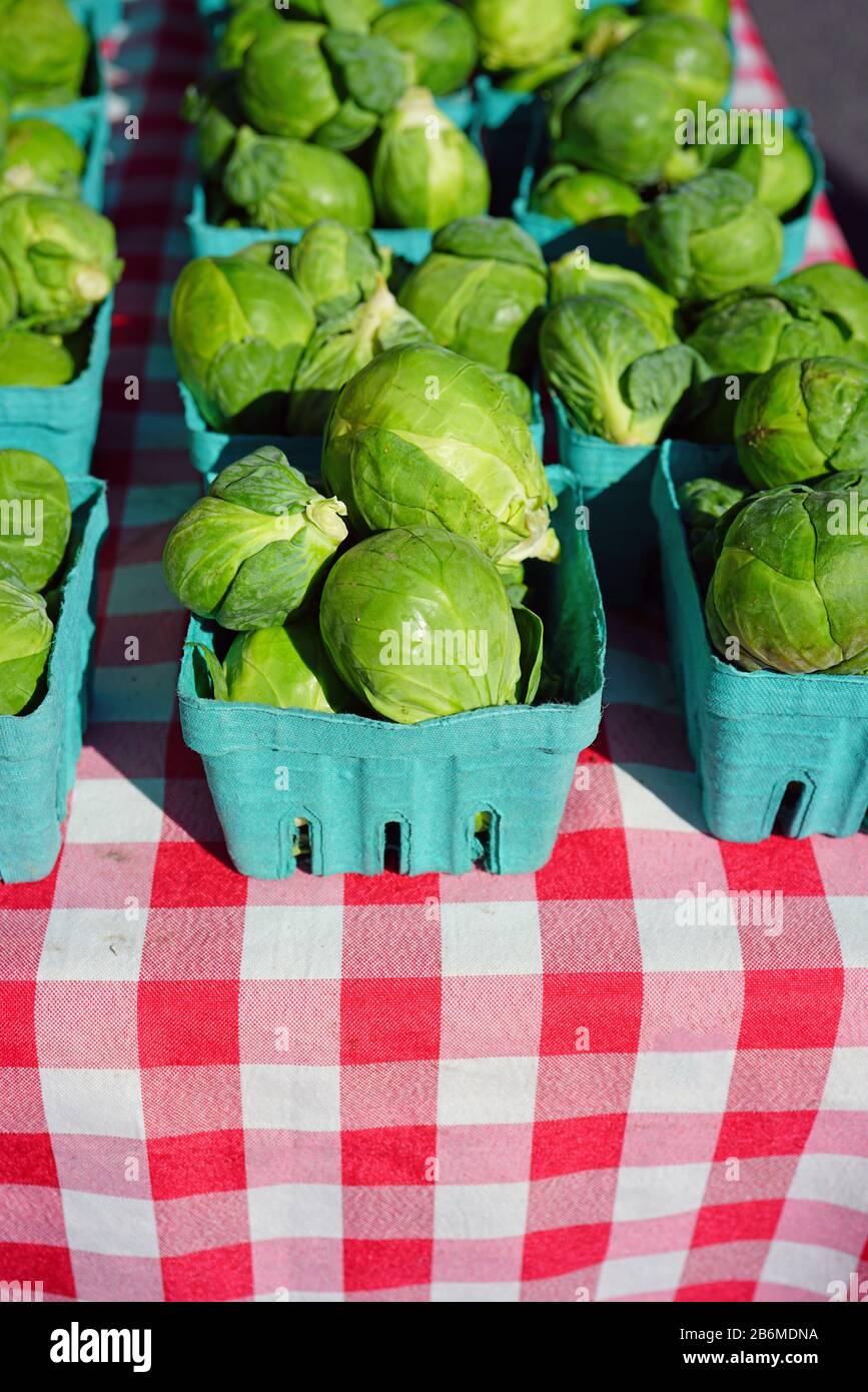 Containers of fresh organic green Brussels sprouts at the farmers ...