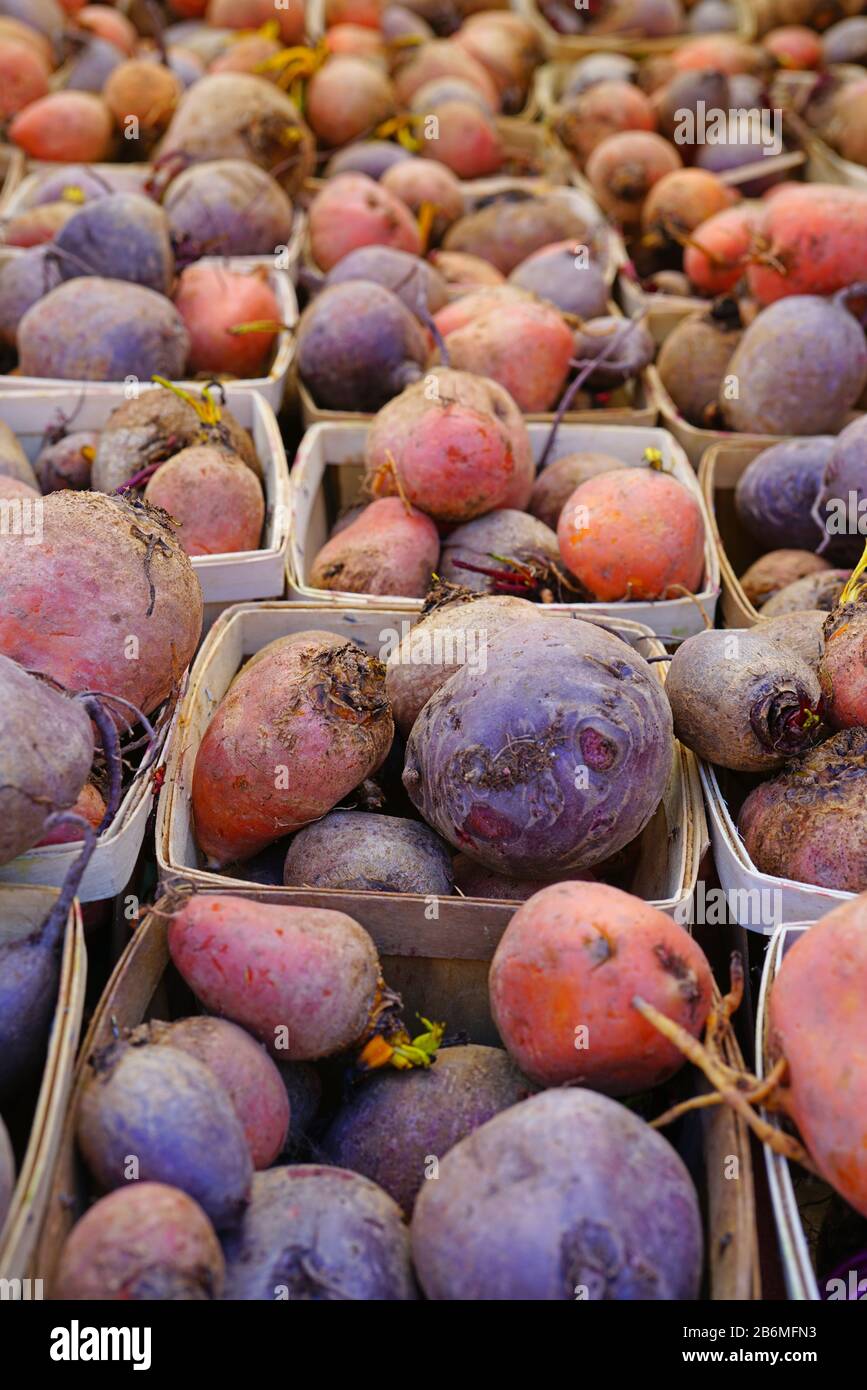 Containers of colorful beets at a farmers market Stock Photo - Alamy