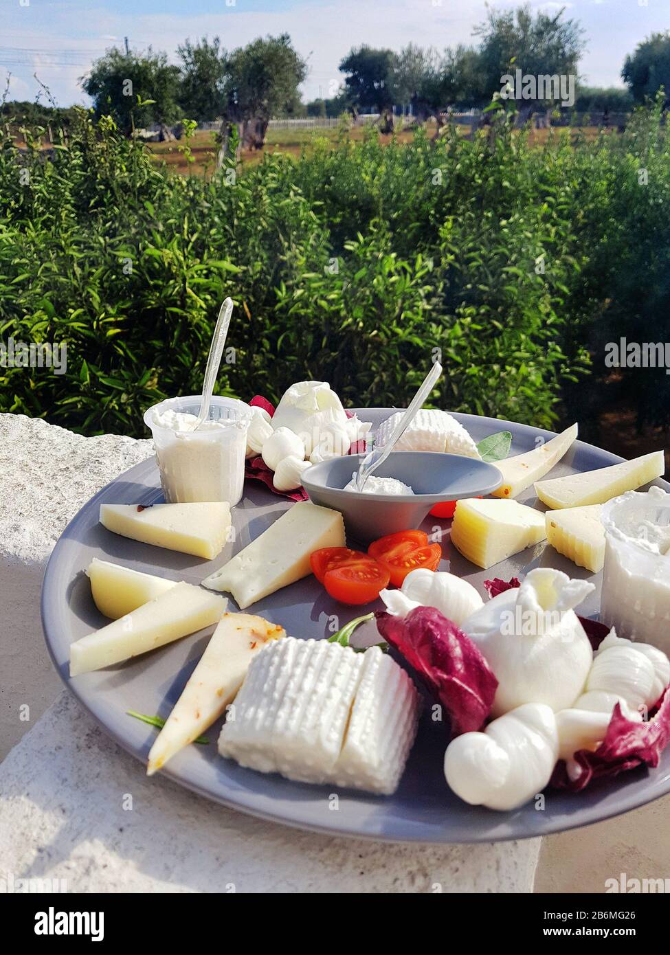 South italian cheese plate over olive trees background Stock Photo - Alamy
