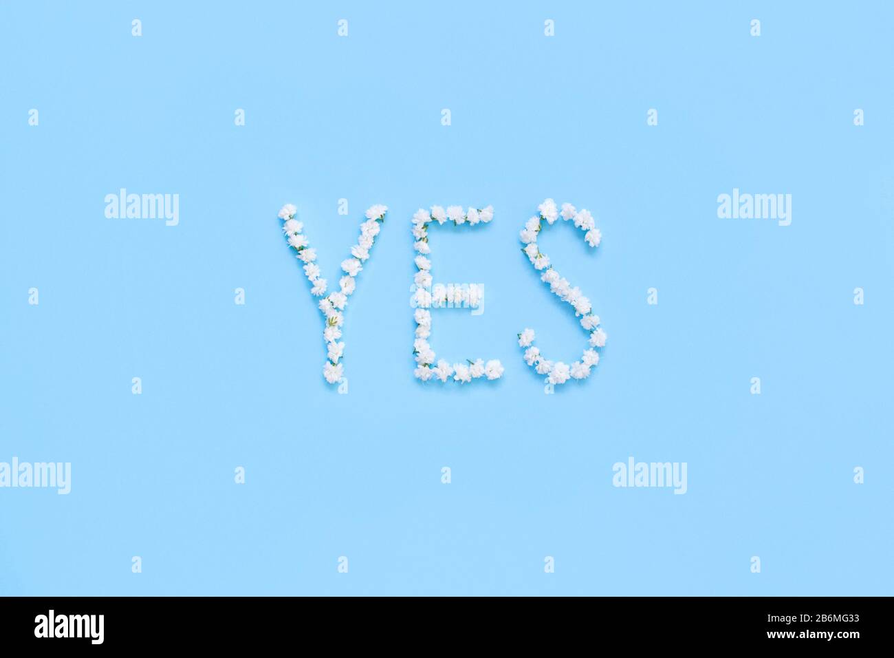Word YES made of white flowers on a light blue background top view ...