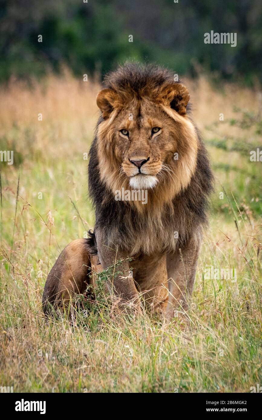 Looking out over the savanna hi-res stock photography and images - Alamy