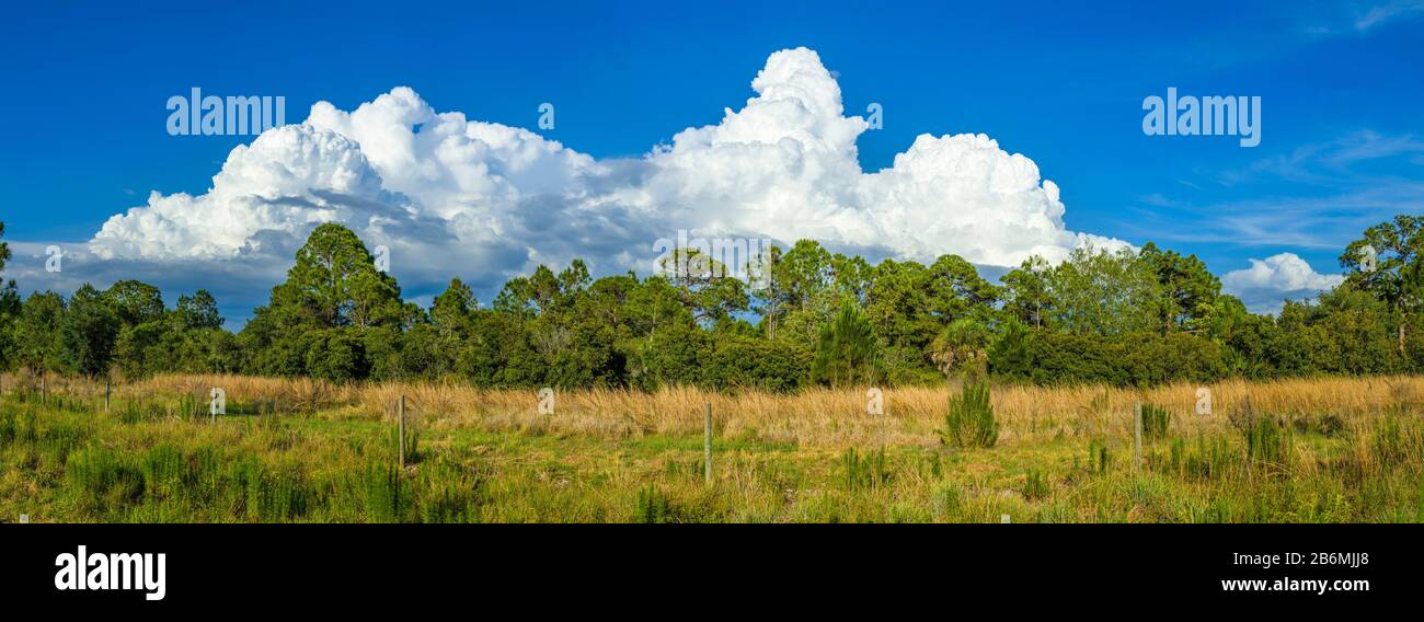 Florida scenery hi-res stock photography and images - Alamy