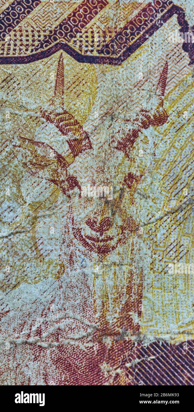 Picture of an antelope on the thousand Shilling note from Uganda ...