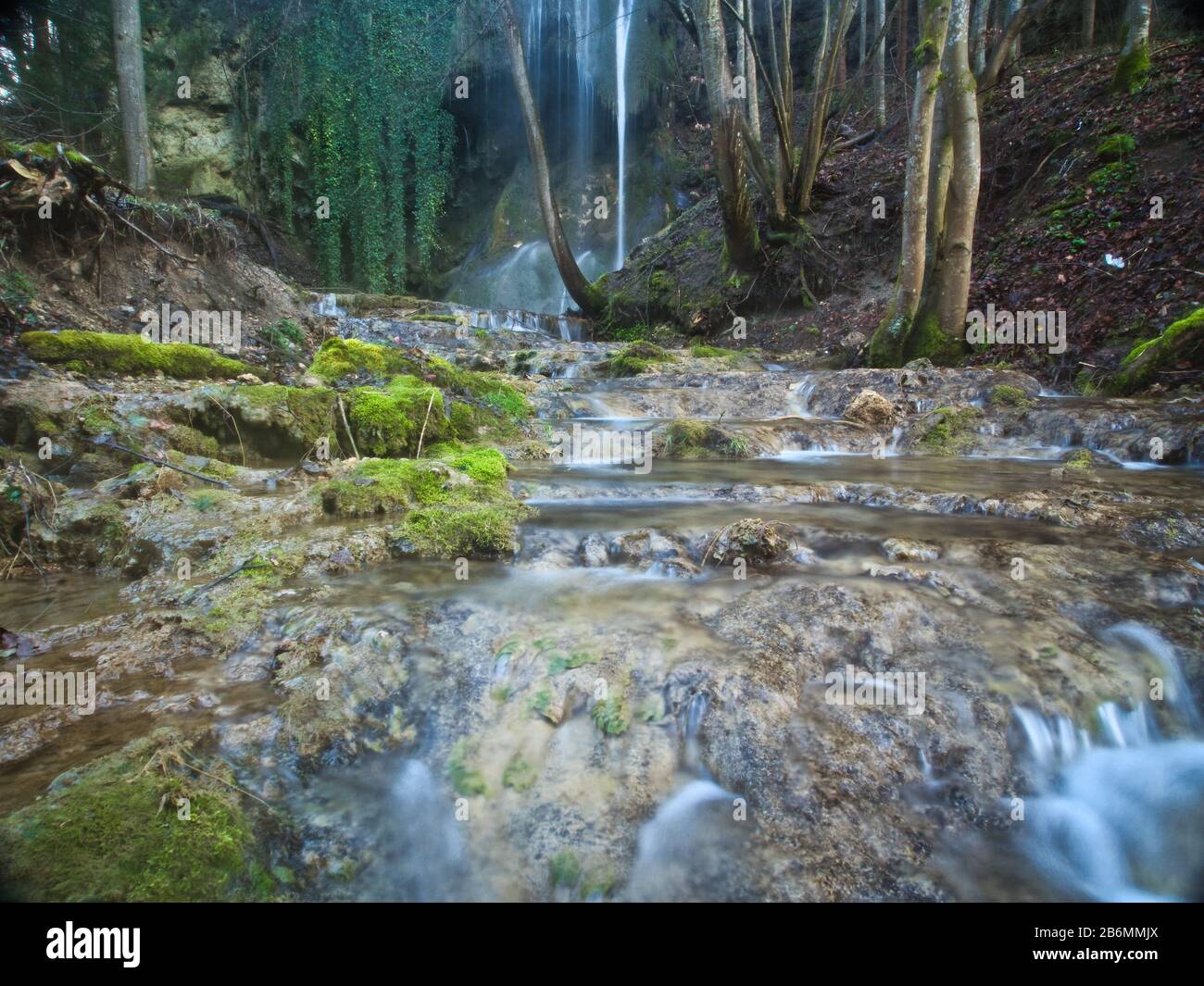 forest waterfall and rocks in the forest Stock Photo - Alamy