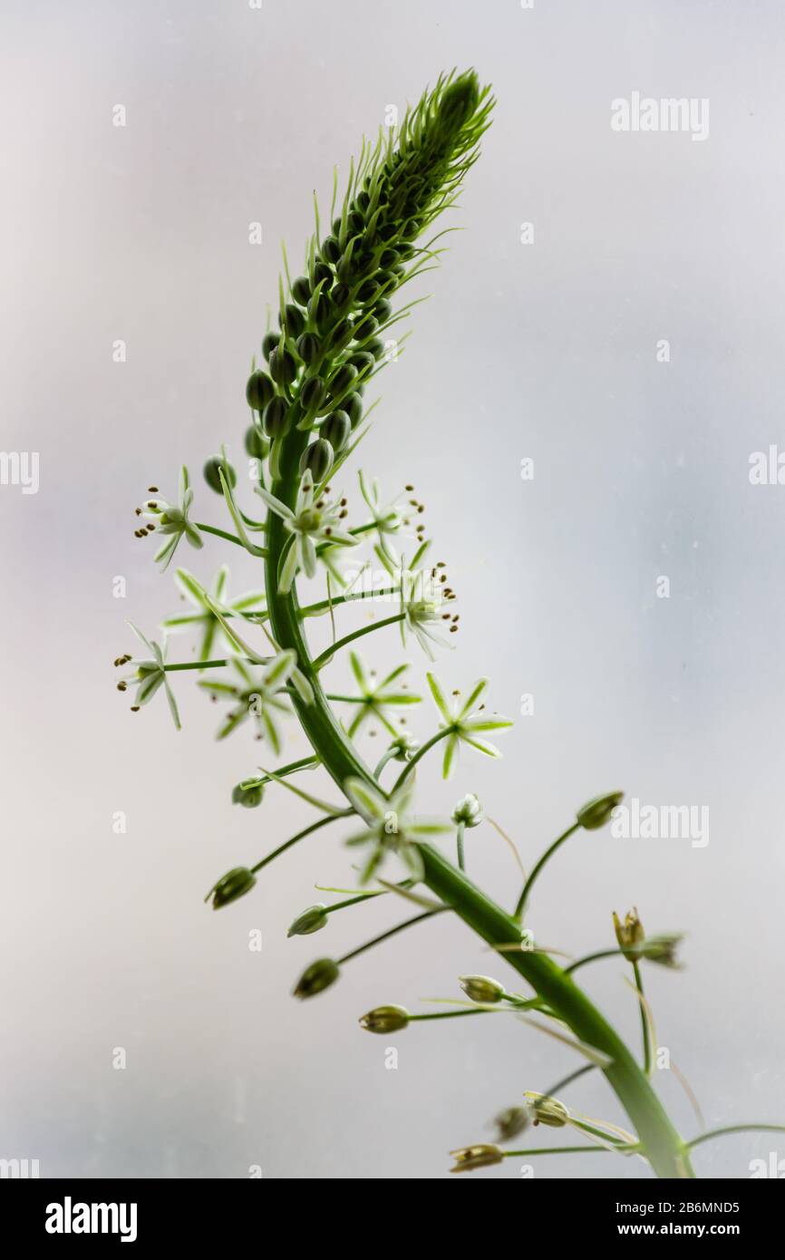 Medical background sketch hi-res stock photography and images - Alamy