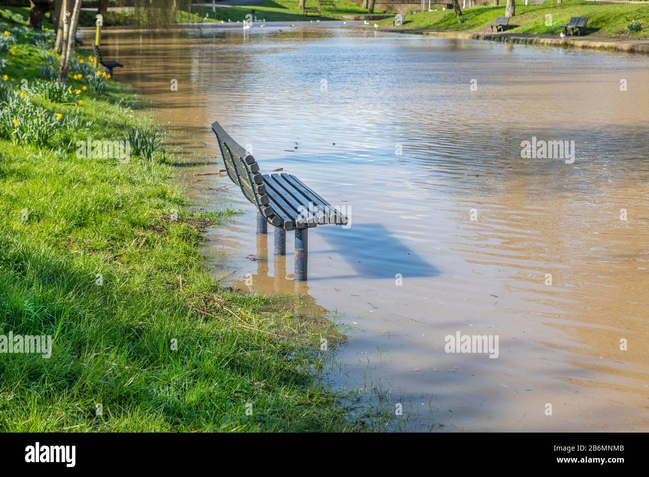 A flooded Royal Military Canal, Hythe, Kent Stock Photo - Alamy