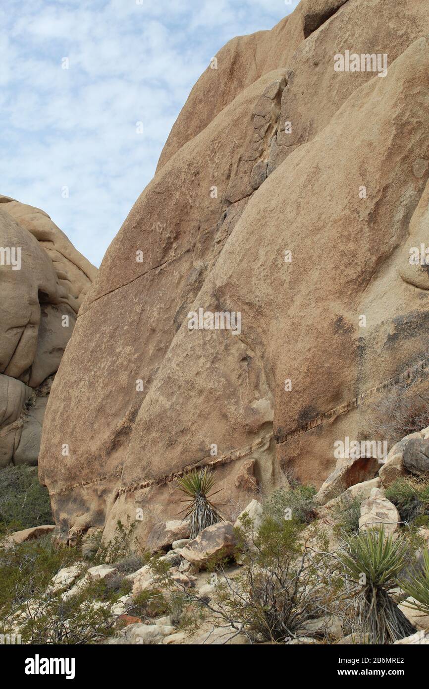 Some rocks in Joshua Tree National Park of the Southern Mojave Desert ...