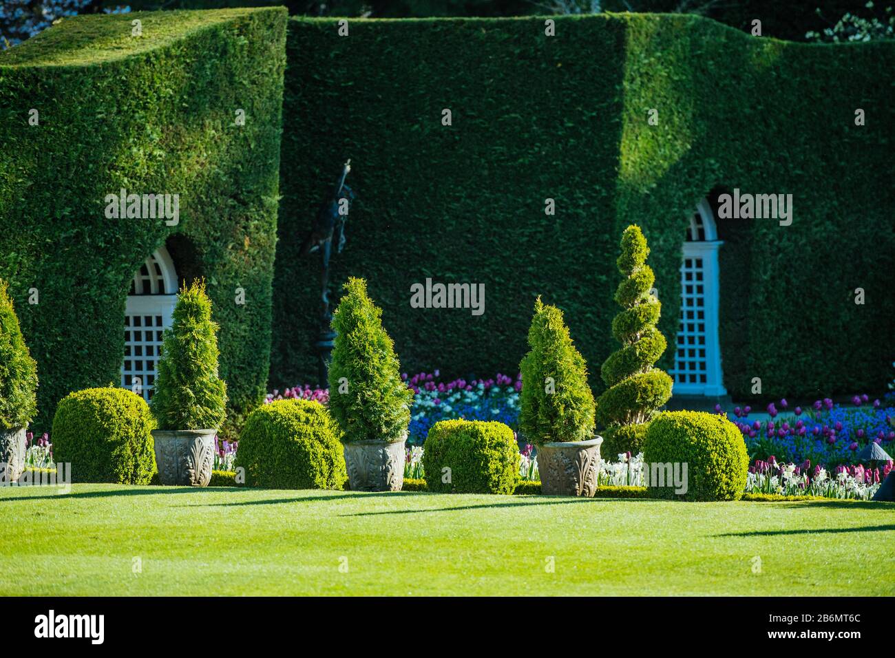British garden hedge hi-res stock photography and images - Alamy