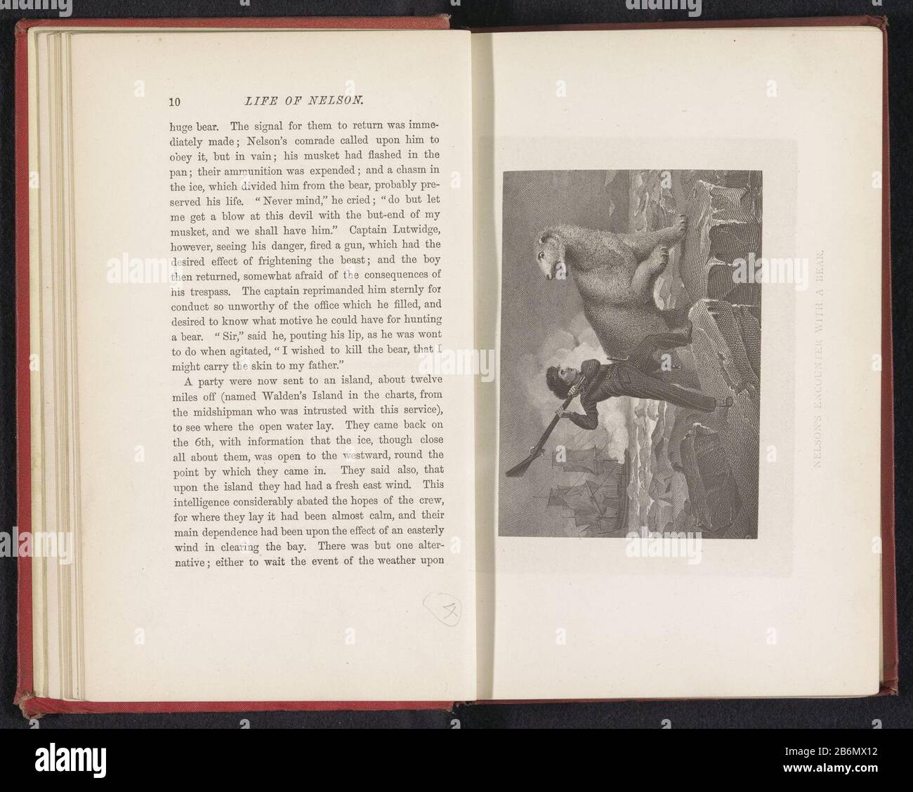 Mechanical polar bear hi-res stock photography and images - Alamy