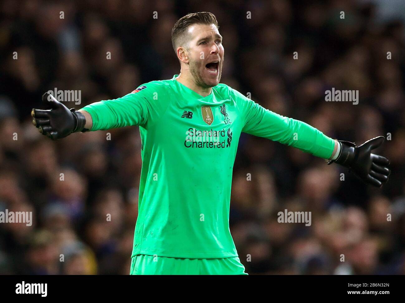 Liverpool goalkeeper del Castillo Adrian Stock Photo - Alamy