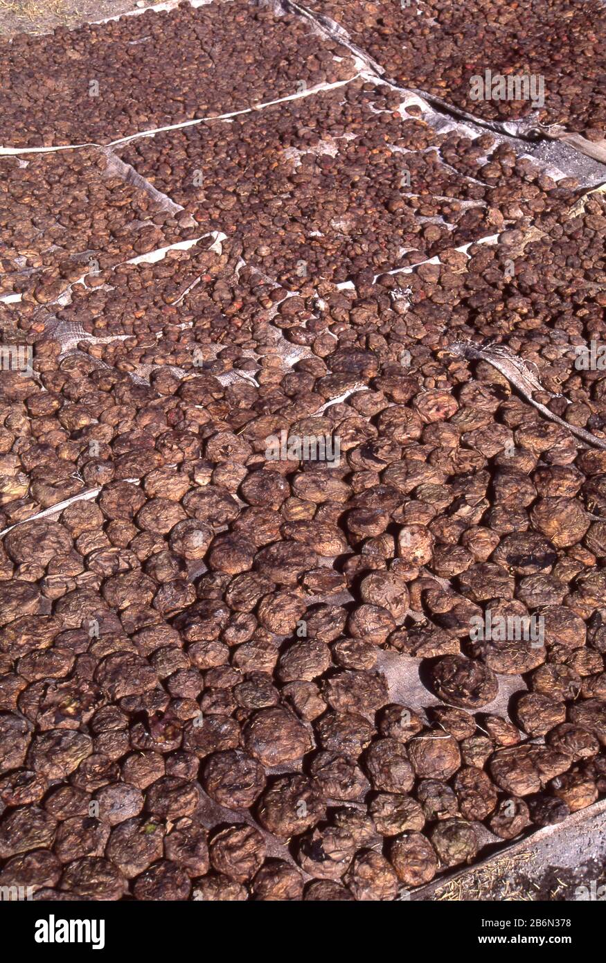 Freeze dried potato hi-res stock photography and images - Alamy