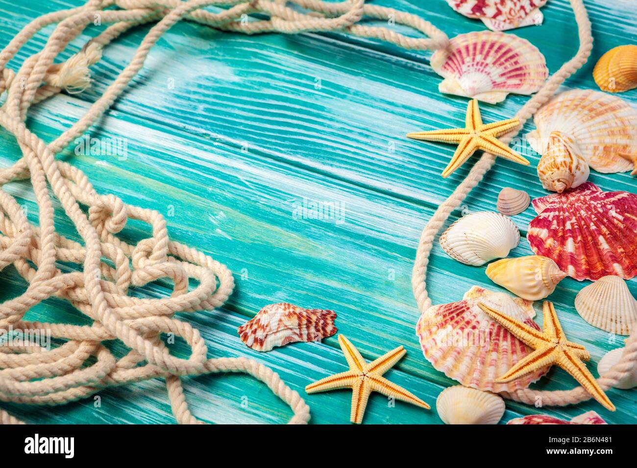 Different sea shells on color wooden background Stock Photo - Alamy