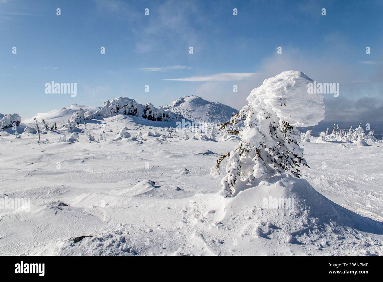 Mountainside with snow-covered trees, winter landscape Stock Photo - Alamy