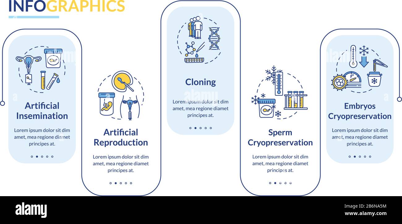 Reproductive technology vector infographic template. Embryology ...