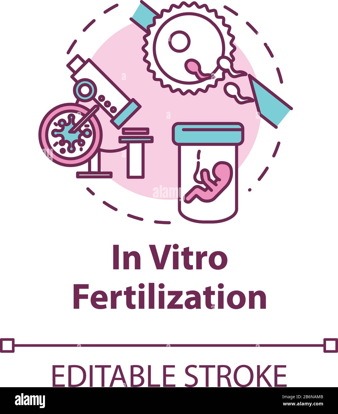 In vitro fertilization cell Stock Vector Images - Alamy